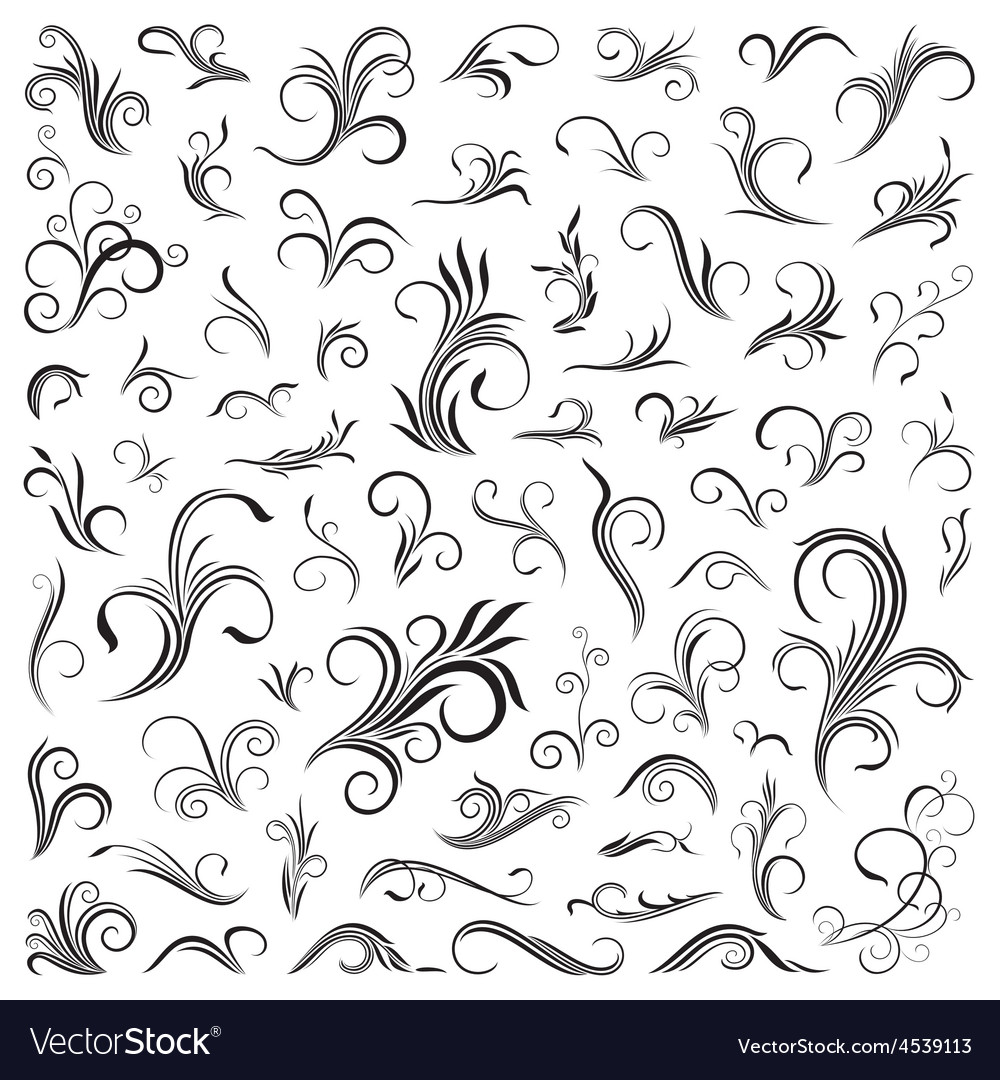 Floral patterns and elements Royalty Free Vector Image