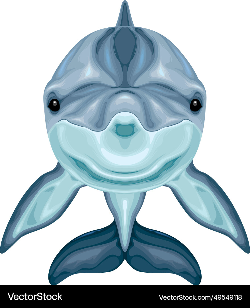Dolphin frontal view isolated animal Royalty Free Vector