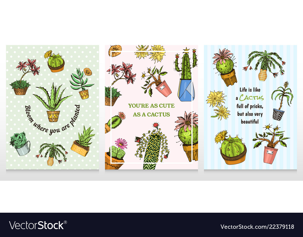 Set cards cactus and cute template succulents Vector Image