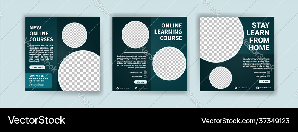 Digital learning online courses and classes Vector Image