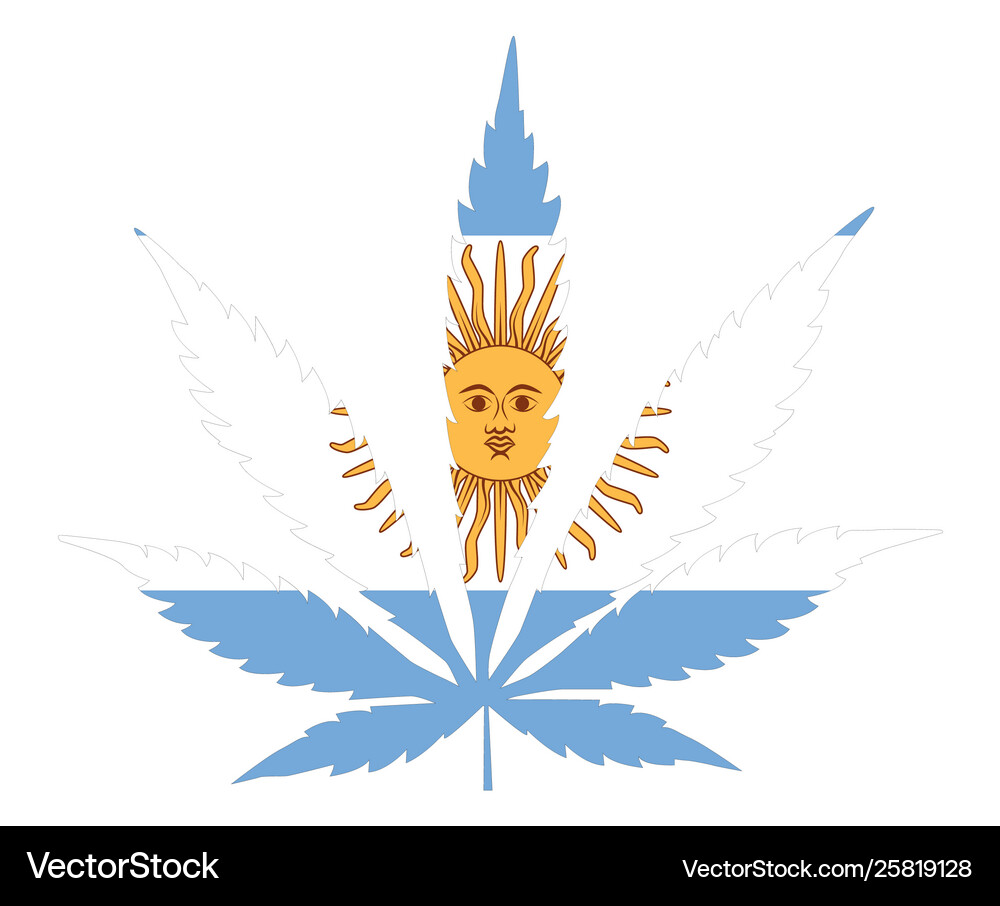 Cannabis leaf flag the concept legalization Vector Image