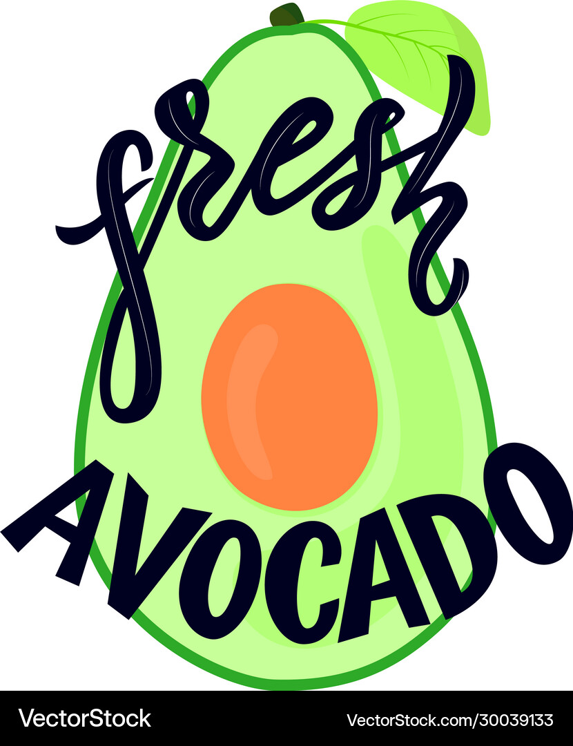 Hand calligraphy lettering fresh avocado Vector Image