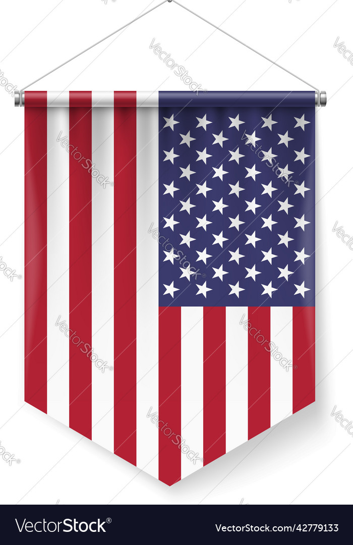 Pennant flag of usa Royalty Free Vector Image - VectorStock