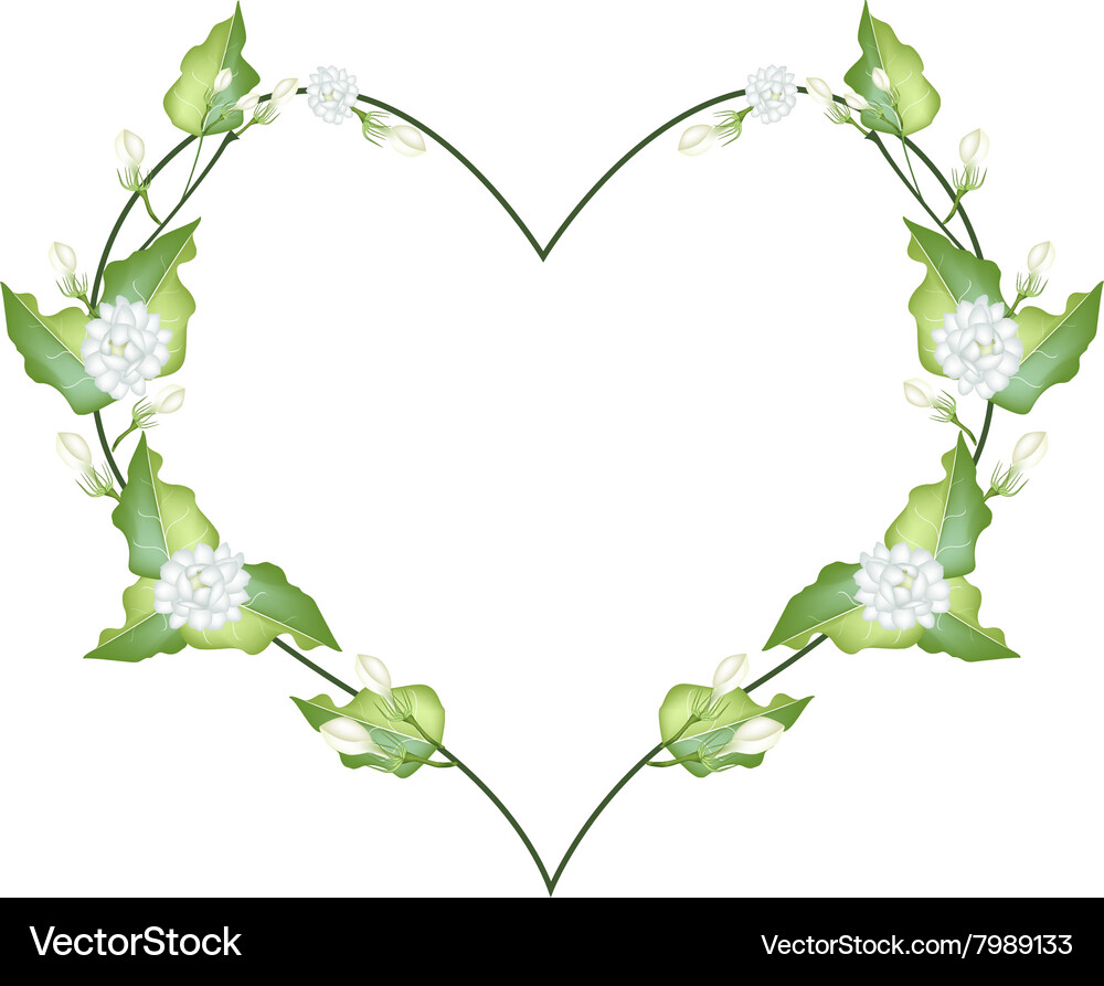 White Jasmine Blossoms in A Heart Shape Royalty Free Vector