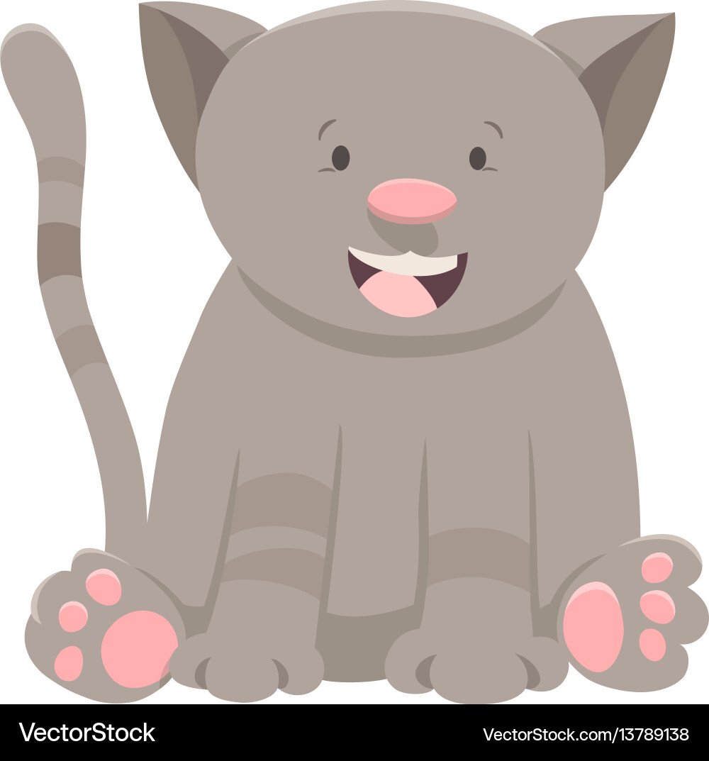 Kitten or cat cartoon character Royalty Free Vector Image