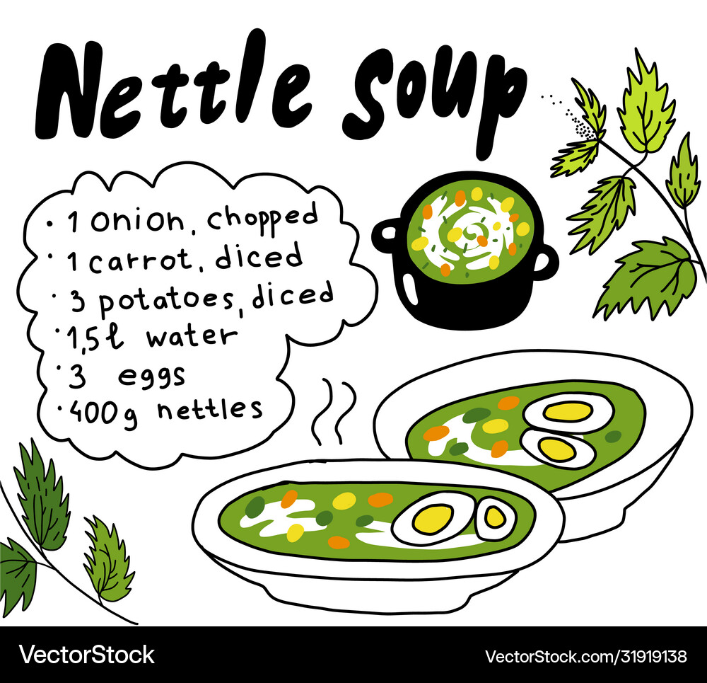 Nettle soup summer grass recipe cooking Royalty Free Vector