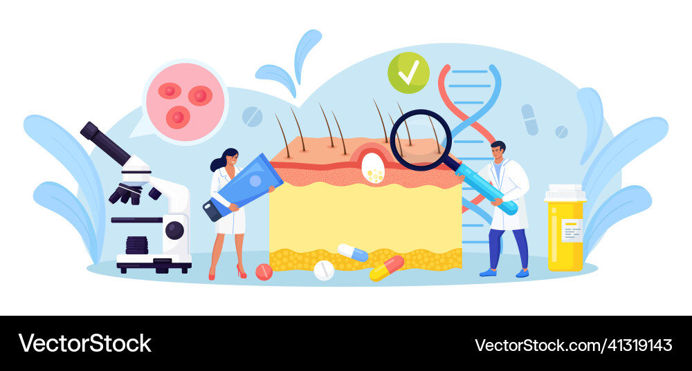 Dermatology skin epidermis scheme with acne Vector Image