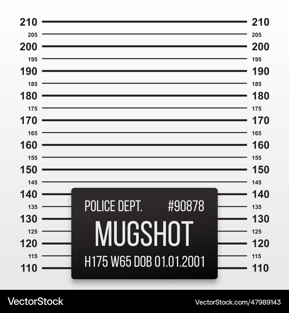 Police mug shot lineup background Royalty Free Vector Image
