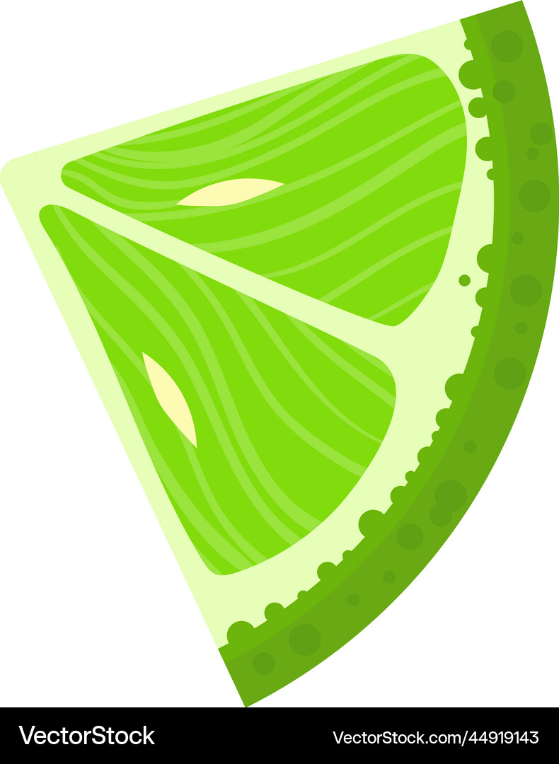Ripe lime healthy citrus fruit slice isolated Vector Image