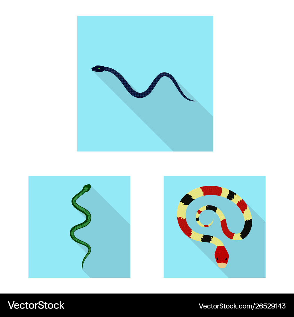 Skin and reptile logo set Royalty Free Vector Image