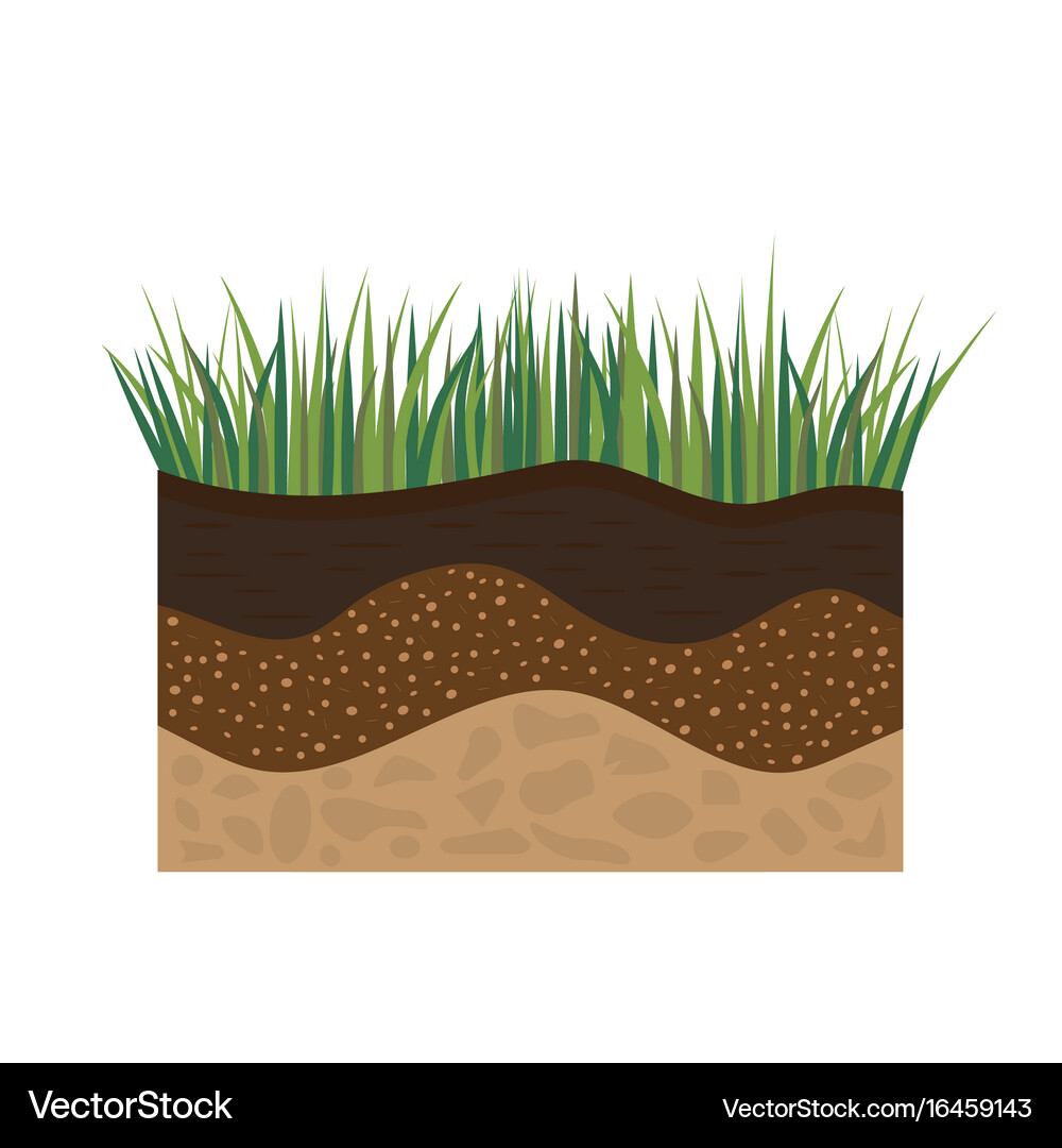 Soil Horizon Cross-Section Royalty Free Vector Image