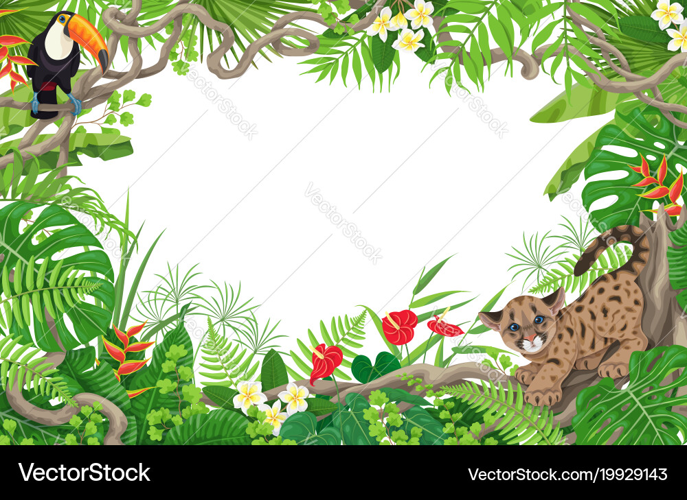 Tropical frame with cougar cub and toucan Vector Image
