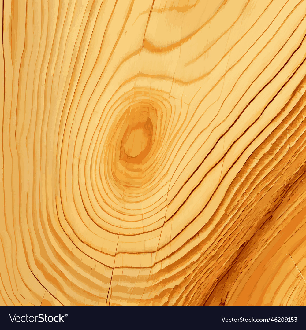 Realistic texture of the tallest green tree Vector Image