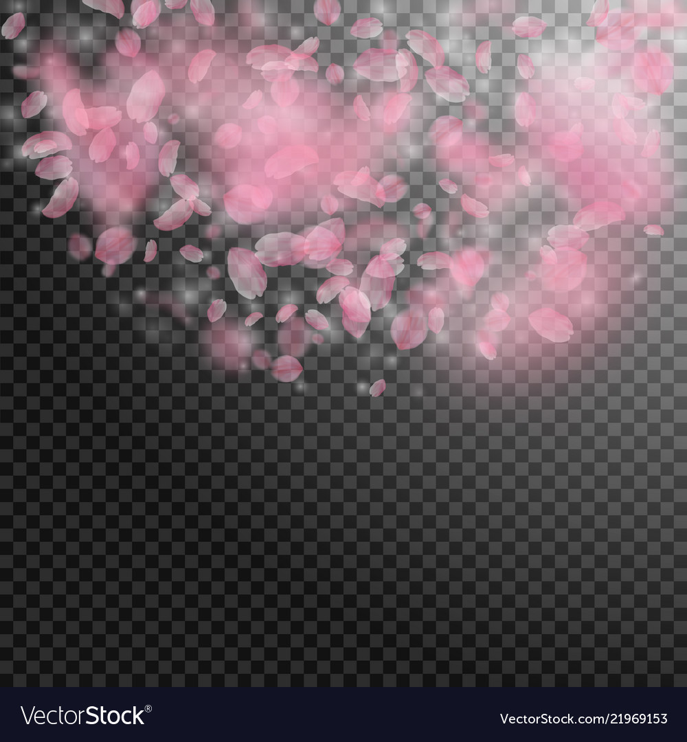 Sakura petals falling down Royalty Free Vector Image
