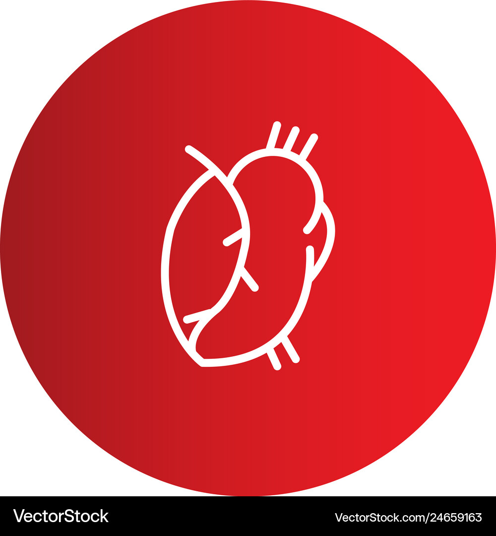 Medical heart icon Royalty Free Vector Image - VectorStock