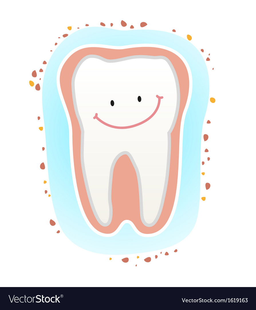 Teeth Royalty Free Vector Image - VectorStock
