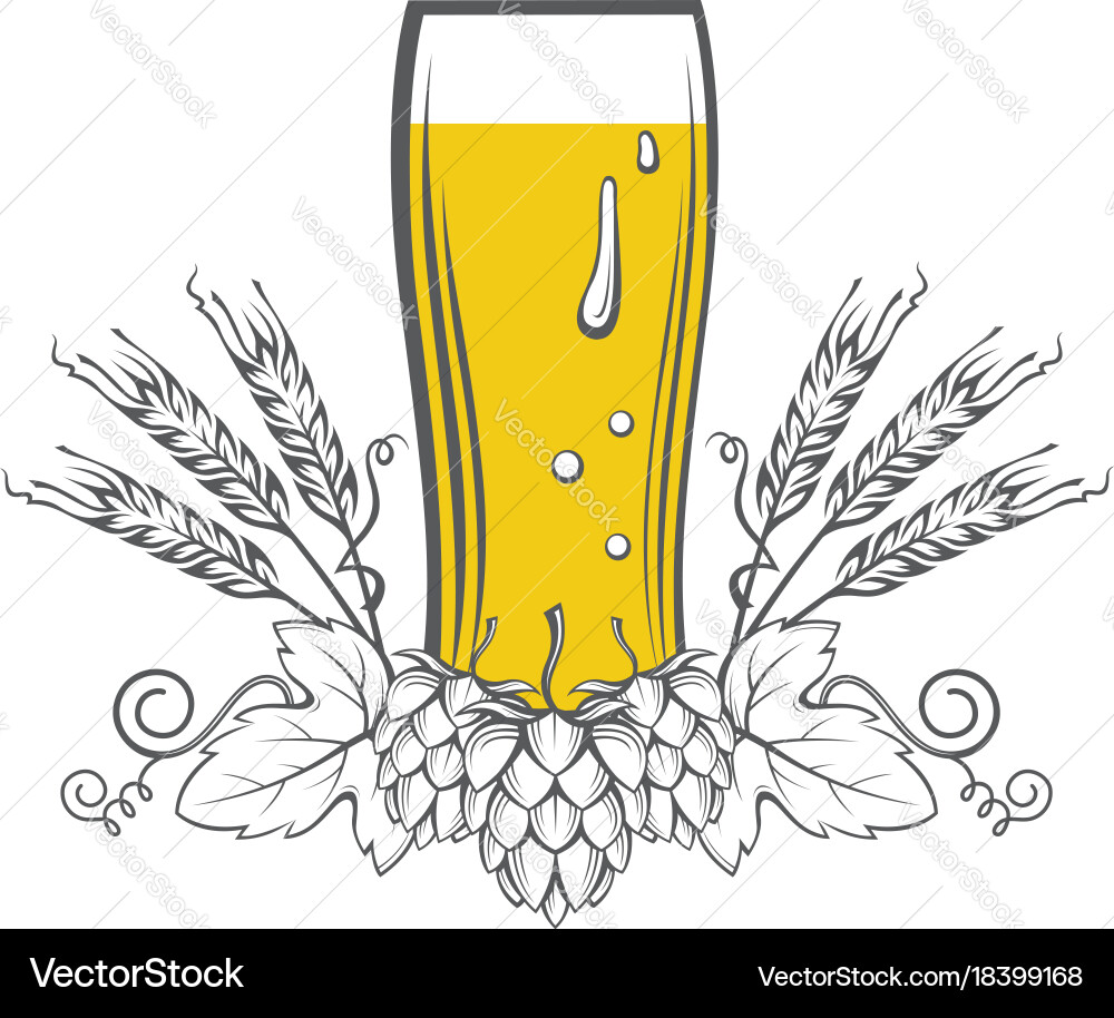 Image of beer glass Royalty Free Vector Image - VectorStock