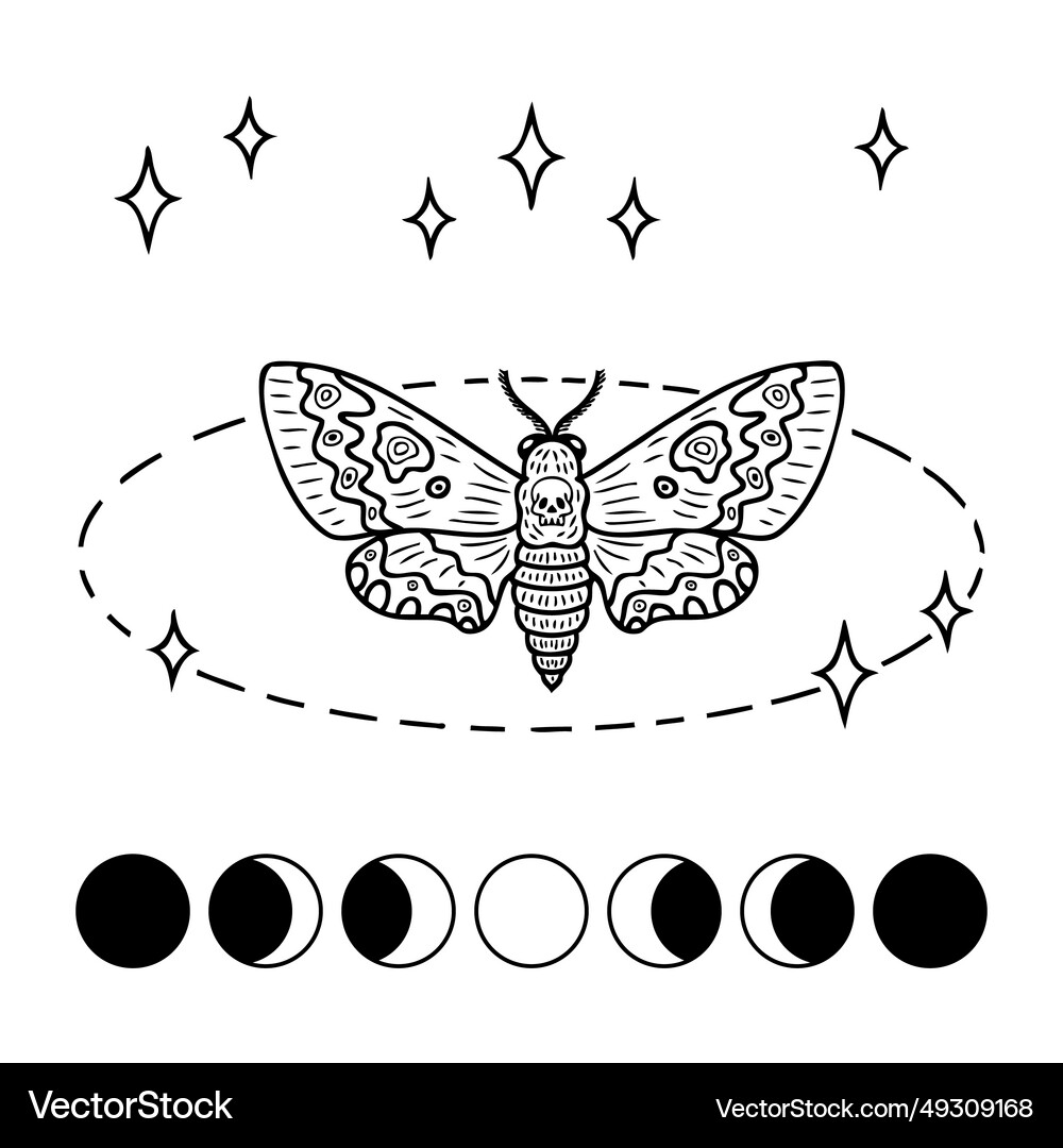Monochrome hawk moth acherontia atropos butterfly Vector Image