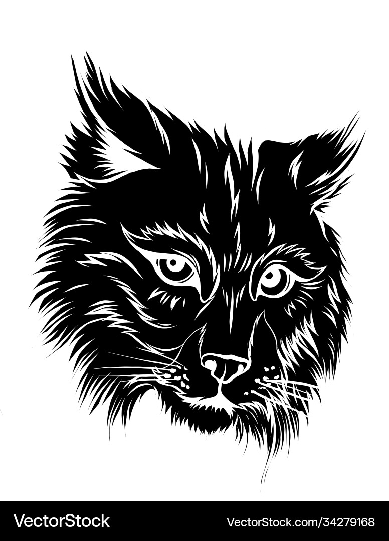 Shows an angry bobcat face the Royalty Free Vector Image