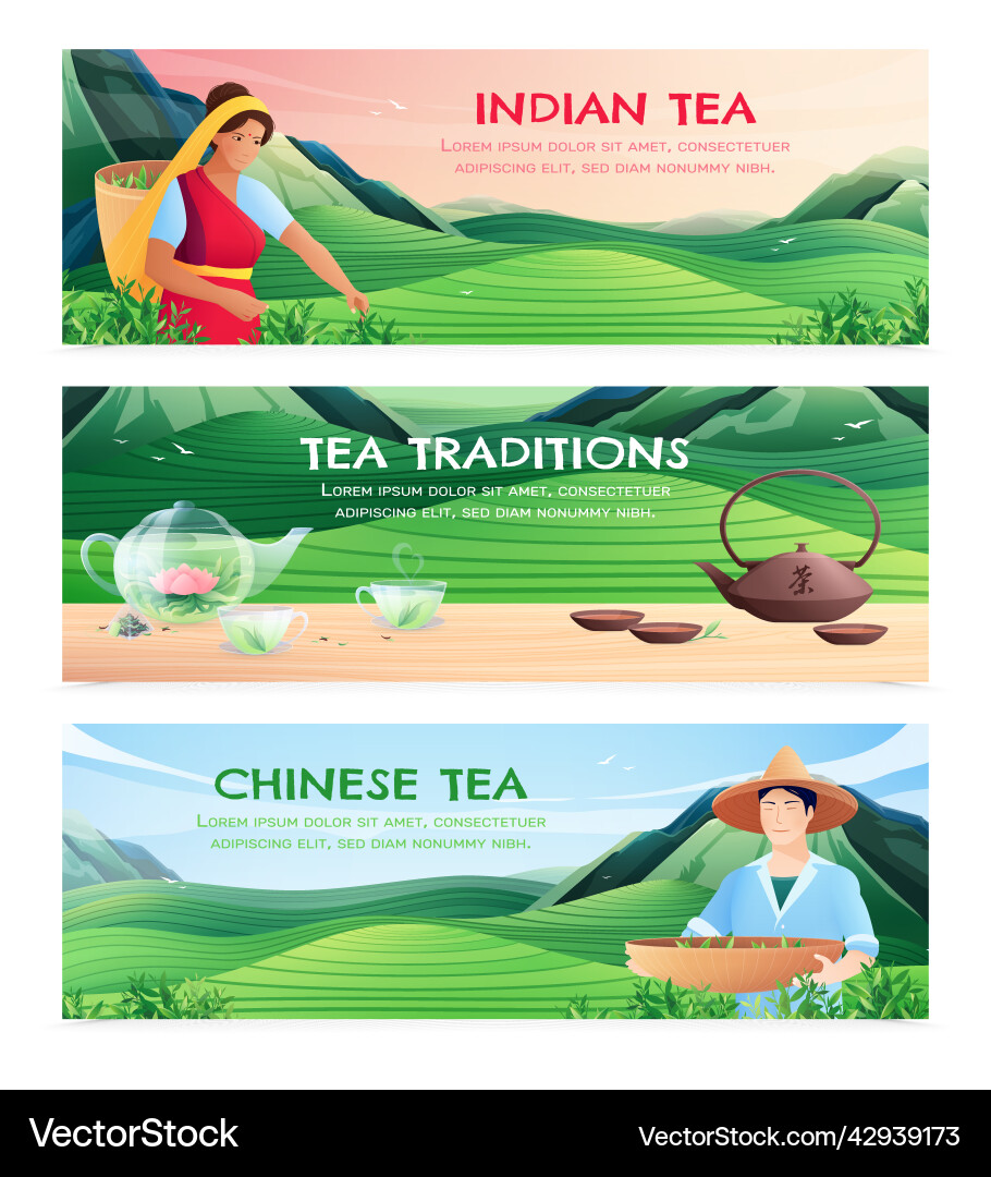 Natural tea production horizontal banners Vector Image