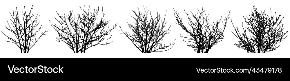 Bare bush set of silhouettes Royalty Free Vector Image