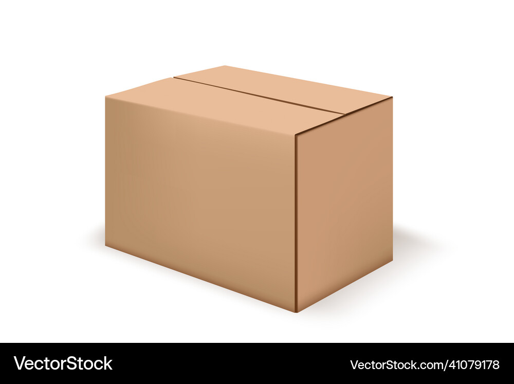 Brown cardboard box carton package 3d mockup Vector Image