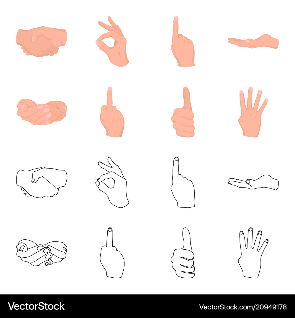 Palms together big up nameless hand gestures Vector Image