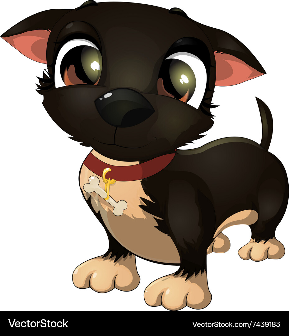 Beautiful black dog on a white background Vector Image