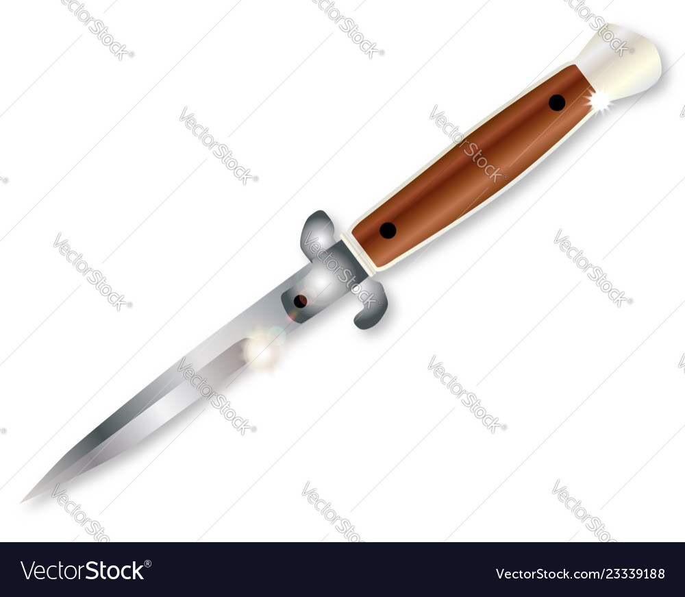 Switch blade Royalty Free Vector Image - VectorStock