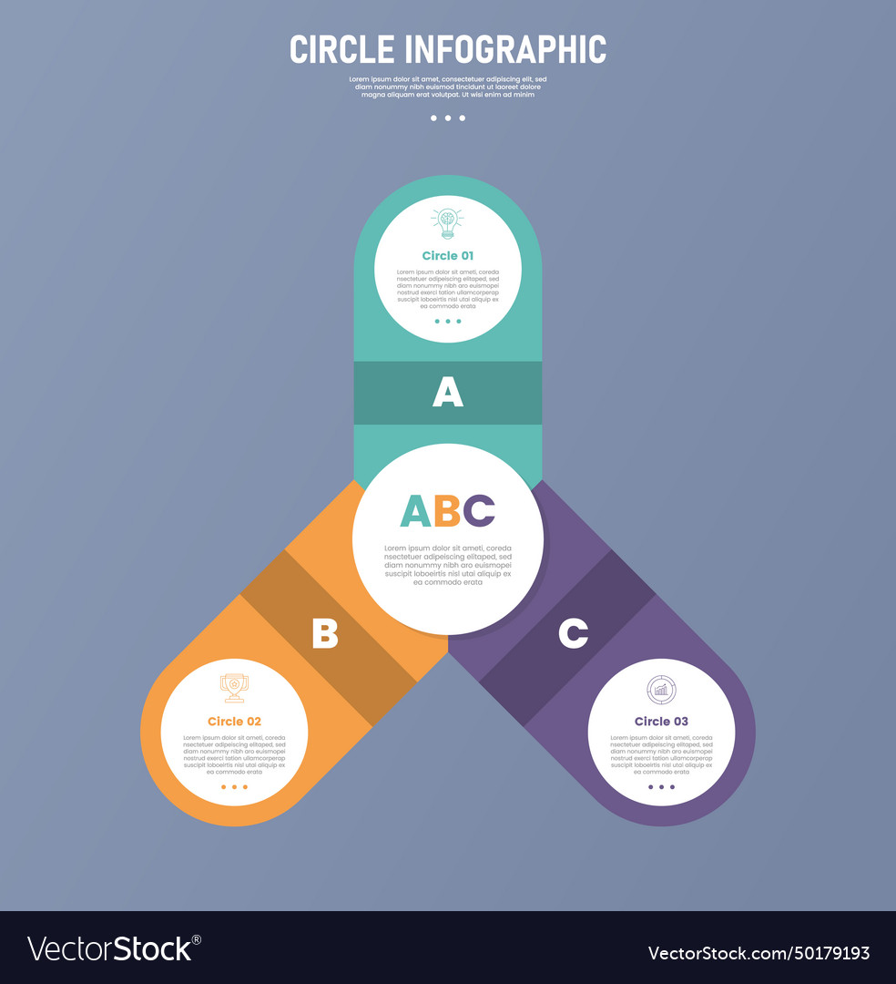 3 point circle infographic stage or step template Vector Image