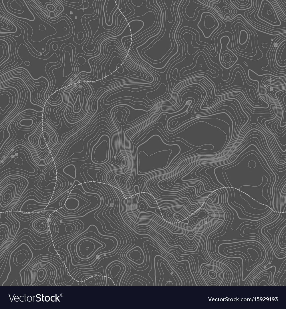 Seamless pattern topographic map background Vector Image
