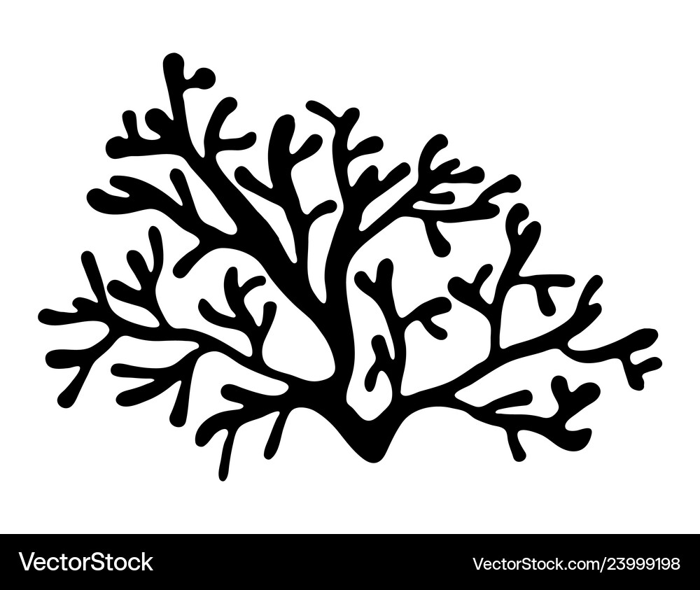 Red algae silhouette symbol icon design beautiful Vector Image