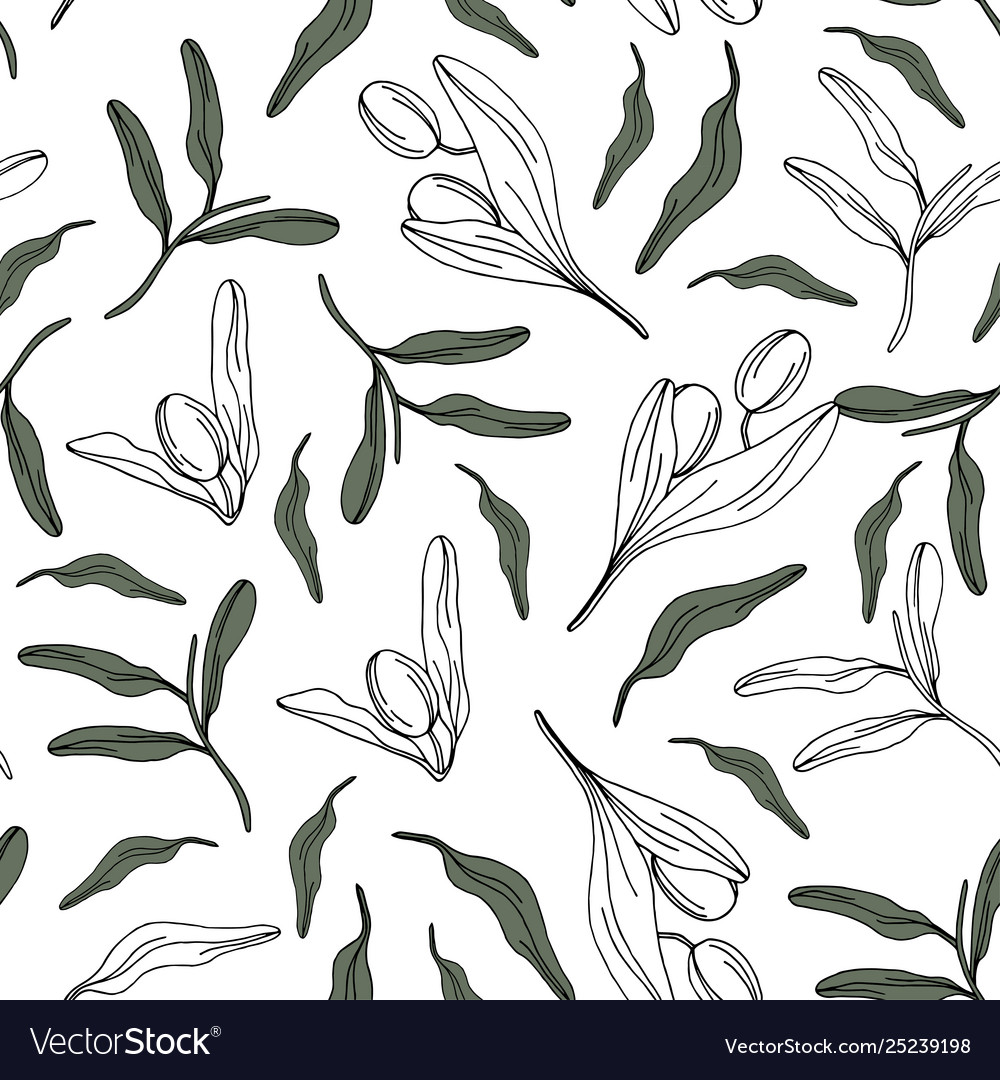 Seamless olive pattern Royalty Free Vector Image
