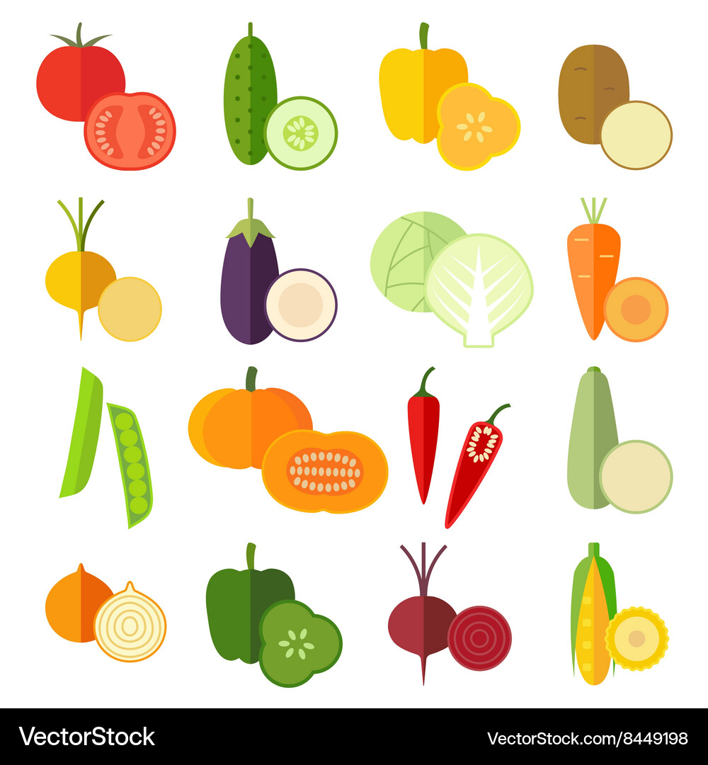 Set fresh healthy vegetables made in flat style Vector Image