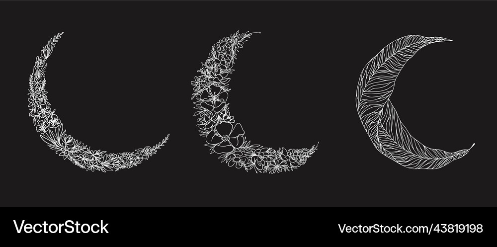 Set of linear graphic the moon Royalty Free Vector Image