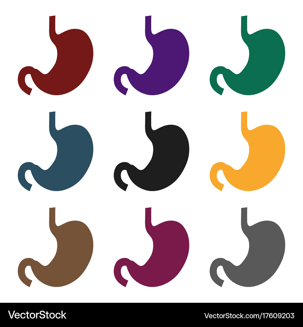 Human stomach icon in black style isolated Vector Image