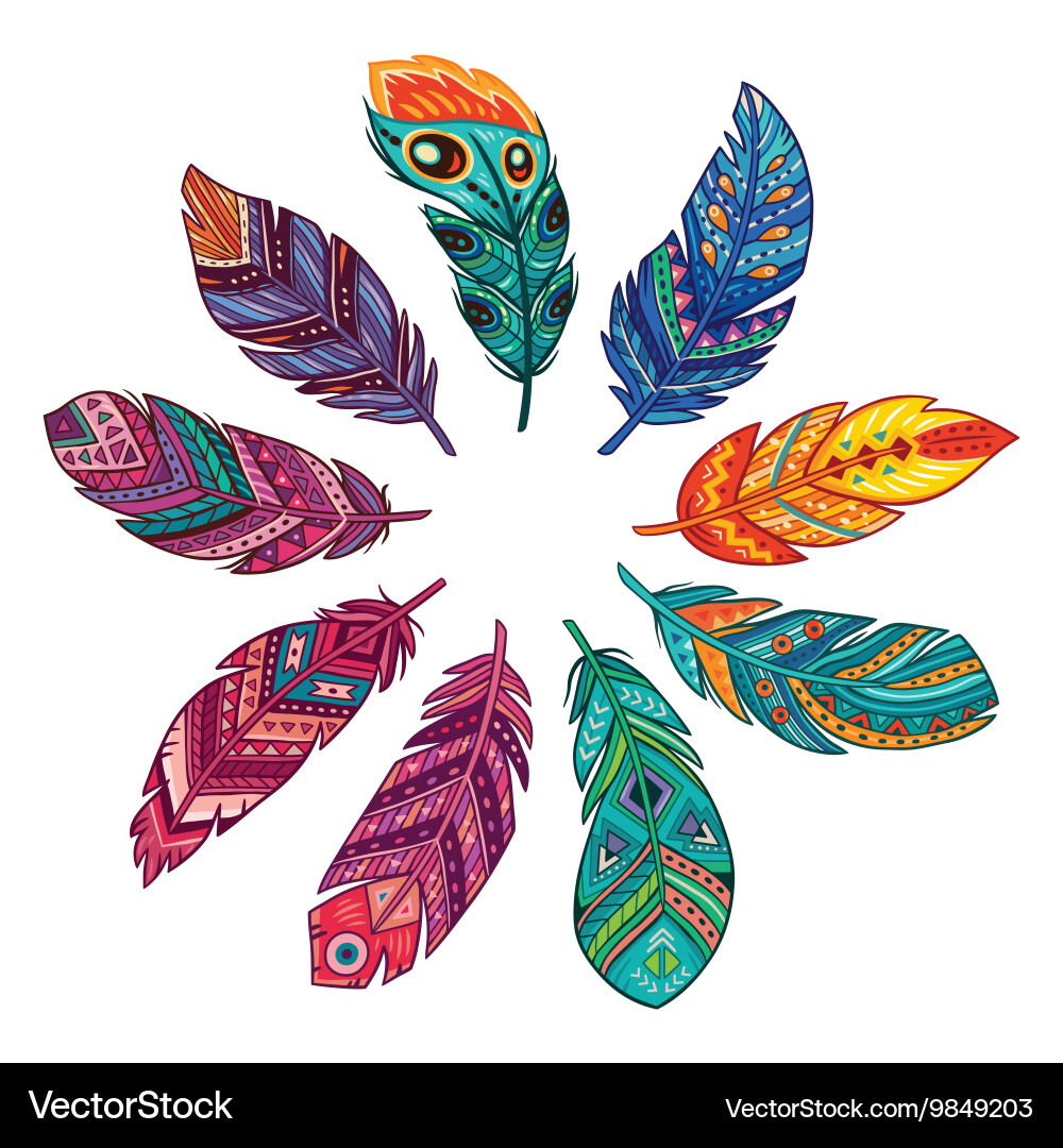 Set abstract boho feathers on a white Royalty Free Vector