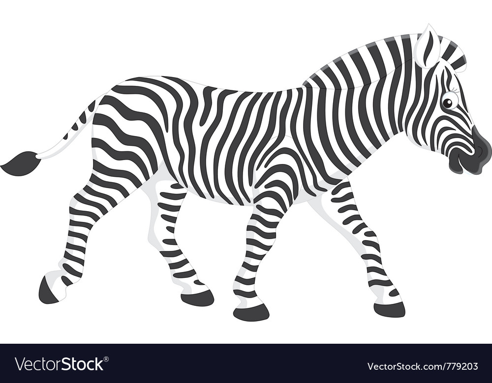 Zebra Royalty Free Vector Image - VectorStock