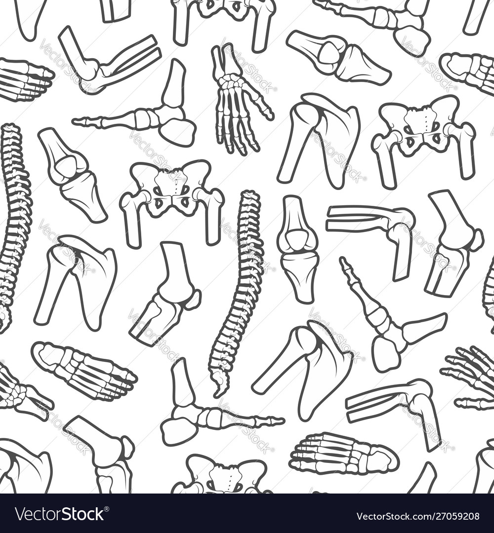 Joints and bones seamless pattern Royalty Free Vector Image