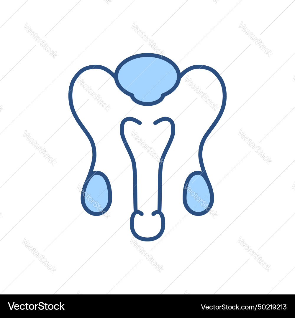 Male reproductive system line icons Royalty Free Vector