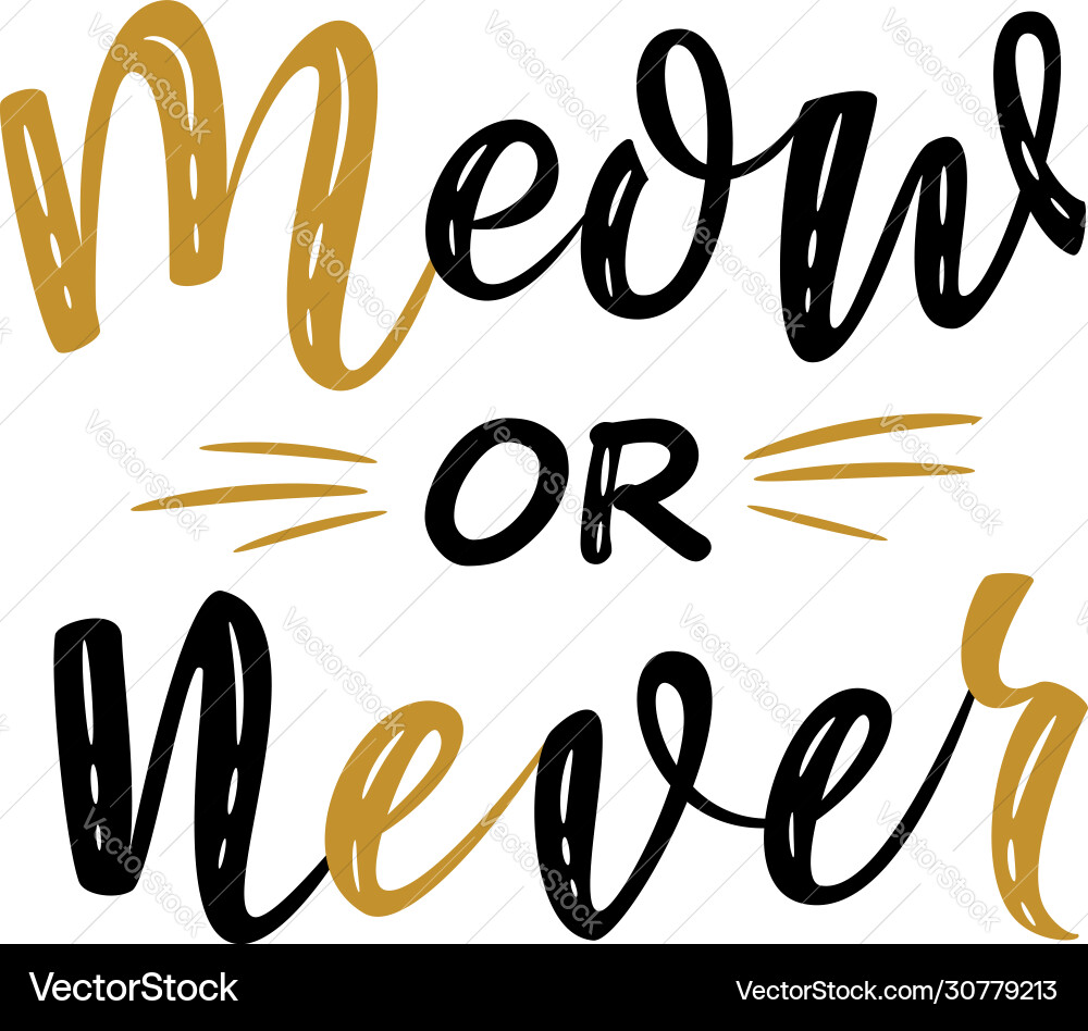 Meow or never handwritten sign modern brush Vector Image
