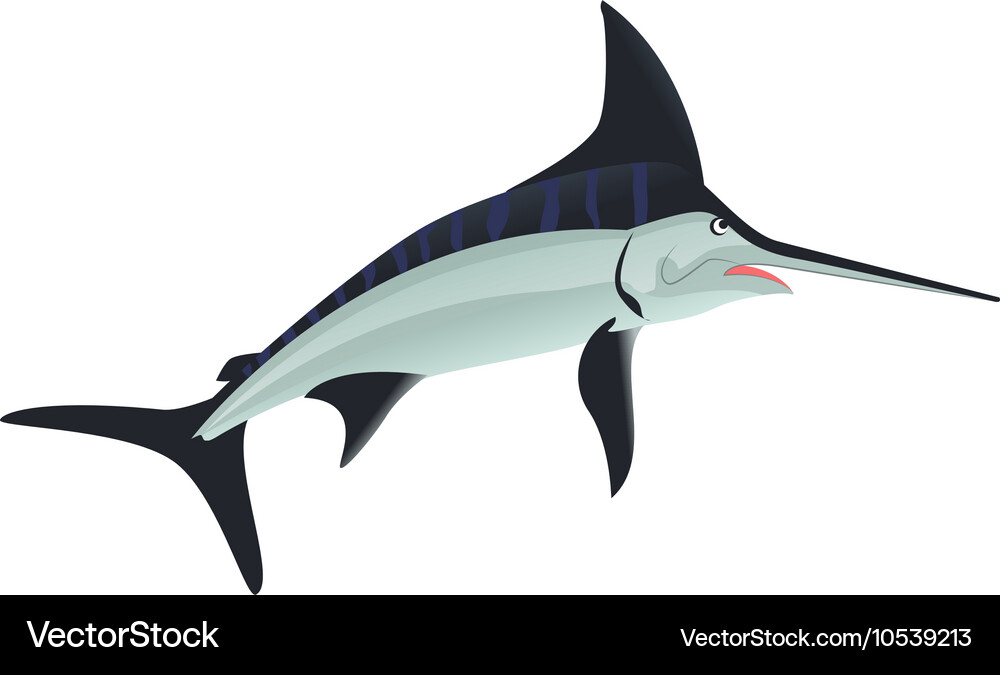 Sword fish sea animal Royalty Free Vector Image