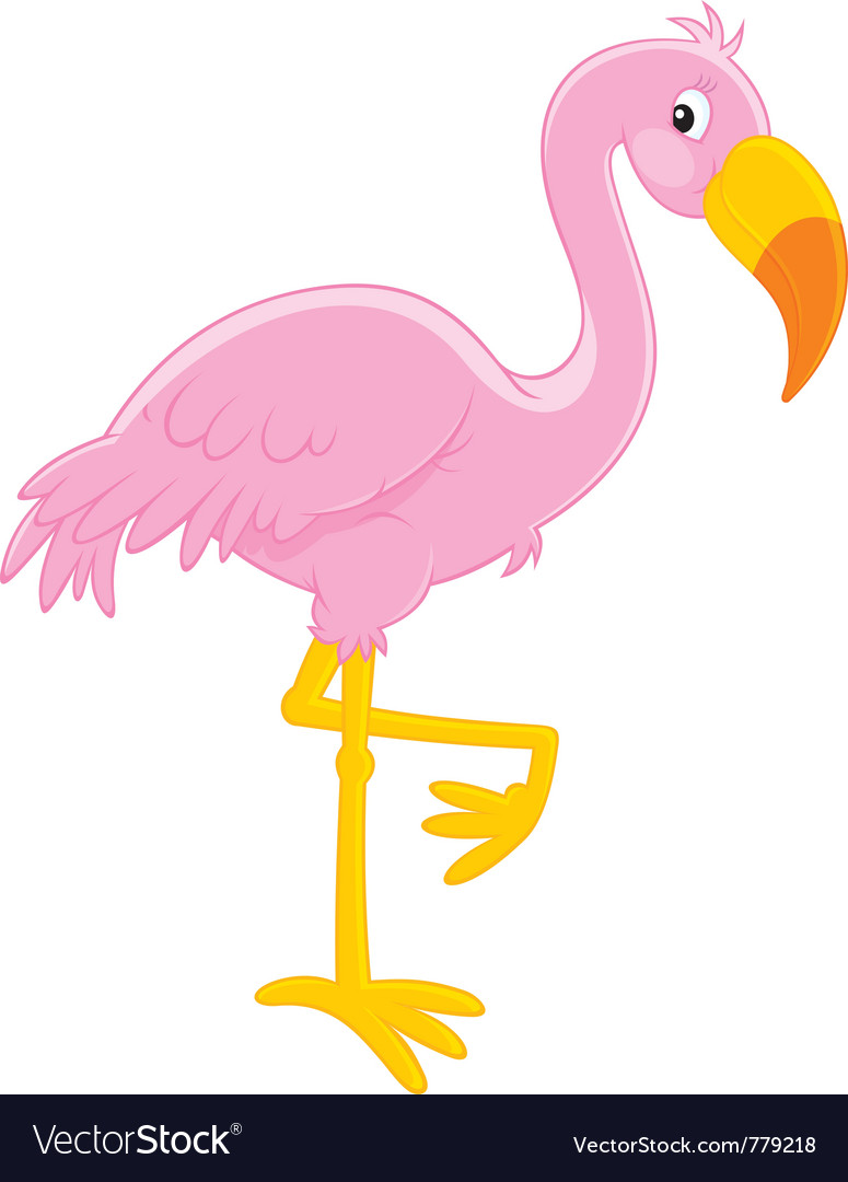 Flamingo Royalty Free Vector Image - VectorStock