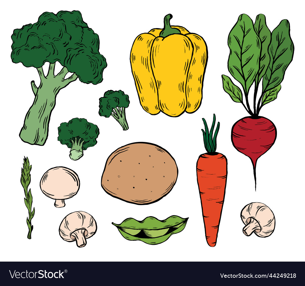 Vegetables Royalty Free Vector Image - VectorStock Vegetables Royalty Free Vector Image - VectorStock