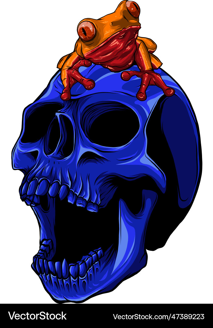 Colored draw of human skull Royalty Free Vector Image