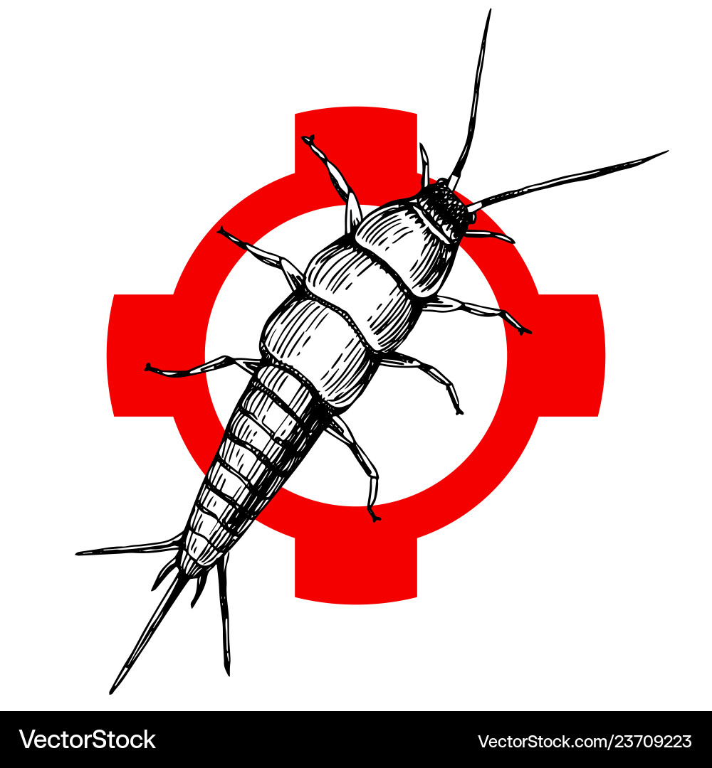 Hand drawn silverfish on crosshair Royalty Free Vector Image