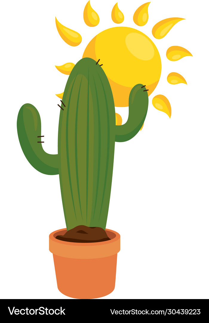 Isolated cactus plant and sun design Royalty Free Vector