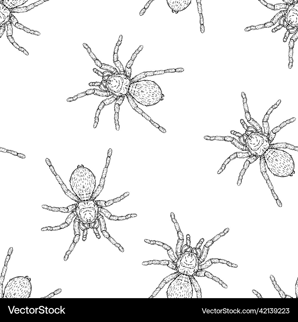 Seamless pattern of monochrome spiders Royalty Free Vector