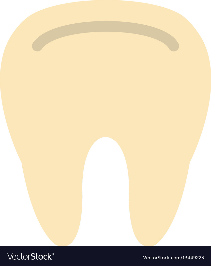 Tooth Royalty Free Vector Image - VectorStock