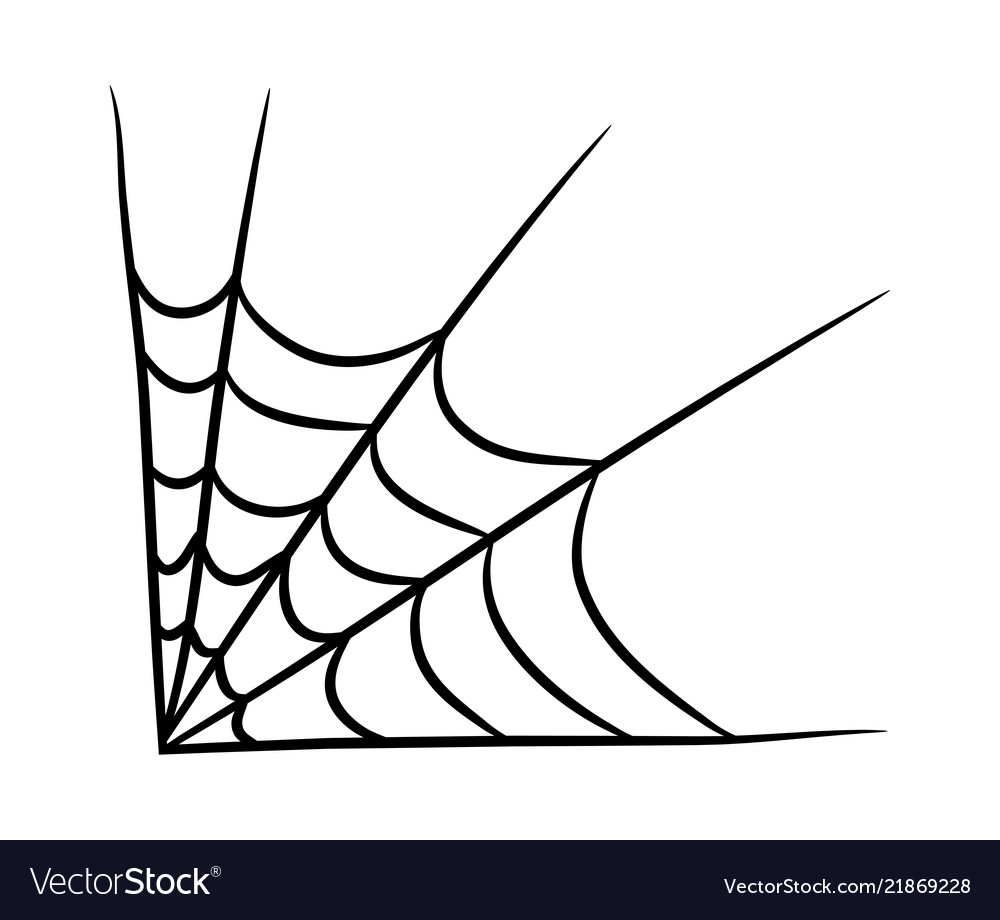 Spider web symbol icon design beautiful isolated Vector Image